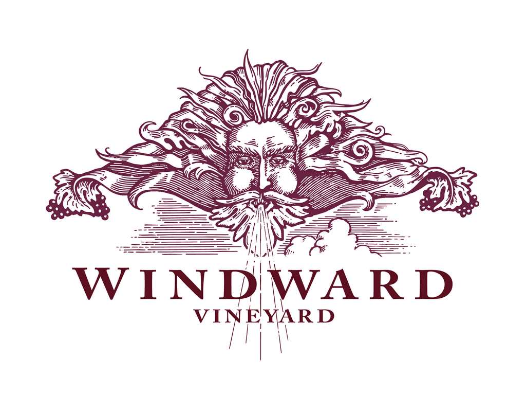 Windward Vineyard | Paso Robles Wineries | Wine Folly