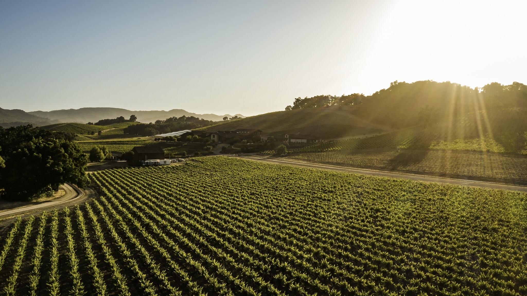 Halter Ranch | Paso Robles Wineries | Wine Folly