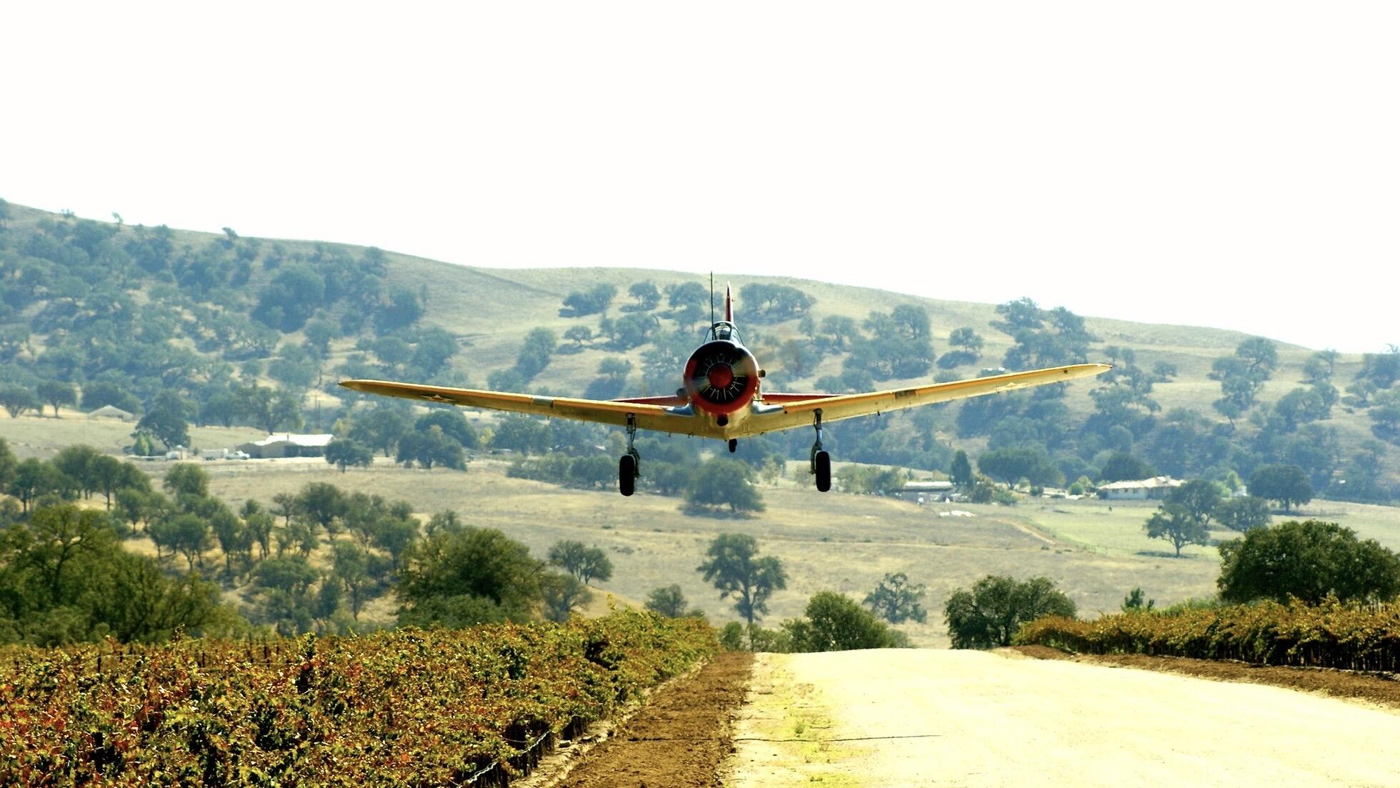 Pianetta Winery | Paso Robles Wineries | Wine Folly