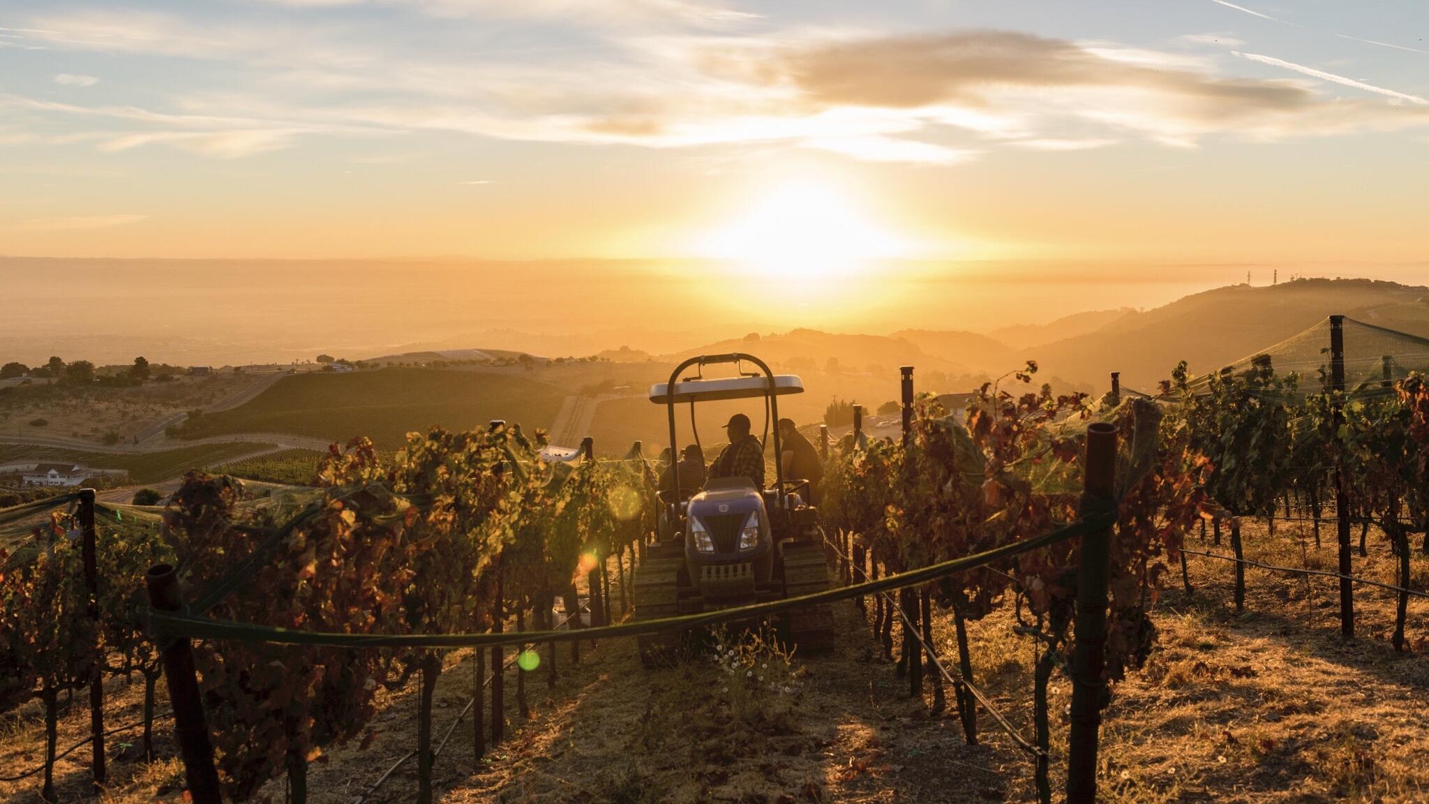 McPrice Myers Wines Wines | Paso Robles Wineries | Wine Folly McPrice Myers Wines Wines | Paso Robles Wineries | Wine Folly