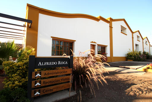 San Rafael | Argentina Wine Regions | Wine Folly